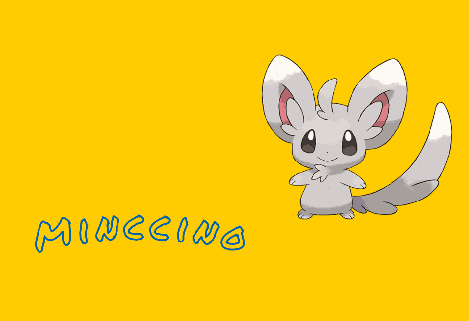 Minccino Guide: The Cute Chinchilla Pokemon - Pok Universe