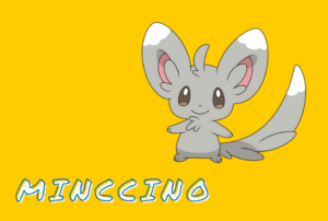 Minccino Guide: The Cute Chinchilla Pokemon - Pok Universe